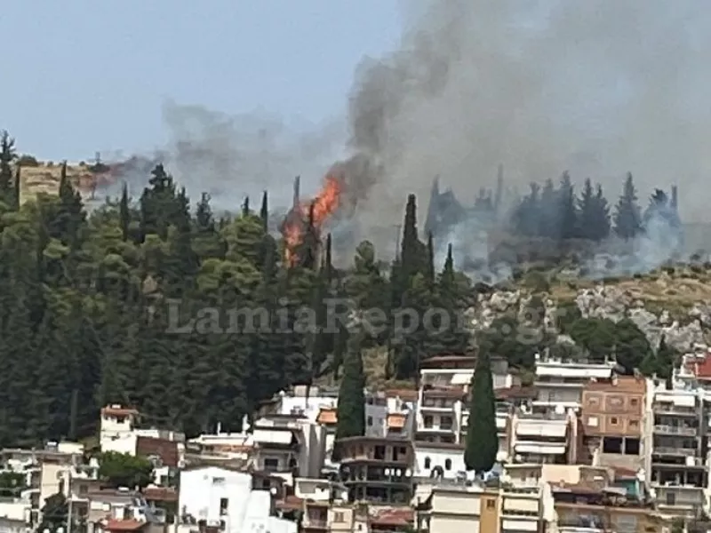 Φωτιά έξω από την πόλη της Λαμίας | ΣΚΑΪ