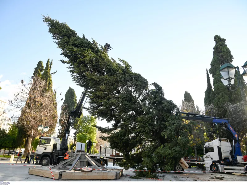 Στήνεται το χριστουγεννιάτικο δέντρο στο Σύνταγμα ύψους 17 μέτρων | ΣΚΑΪ