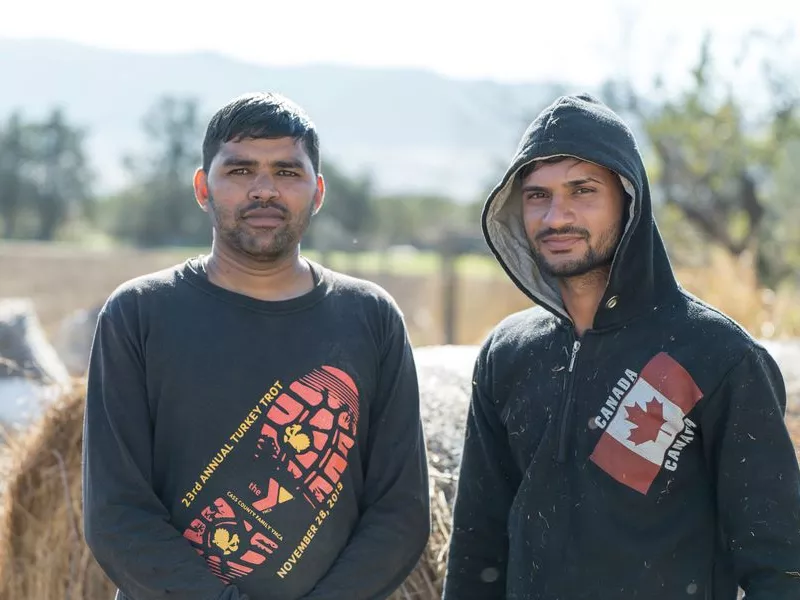 Παγκόσμια Ημέρα Μεταναστών: Η ιστορία δύο Ινδών που έγιναν κτηνοτρόφοι ...
