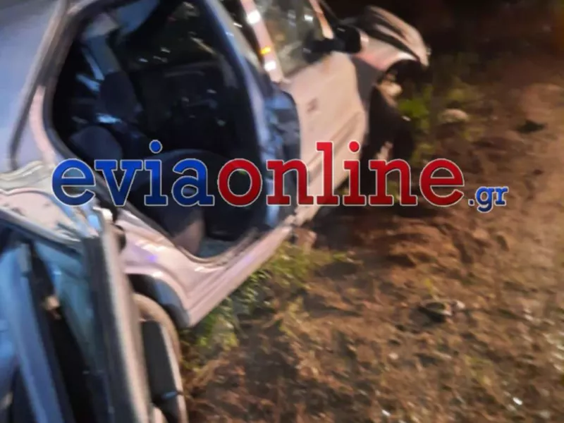 τροχαίο στη Χαλκίδα: Νεκρός οδηγός Ι.Χ. που «έφυγε» εκτός δρόμου | ΣΚΑΪ